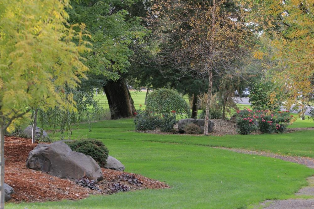 Hermiston Begins Urban Forestry Plan to Assess, Plant and Maintain ...